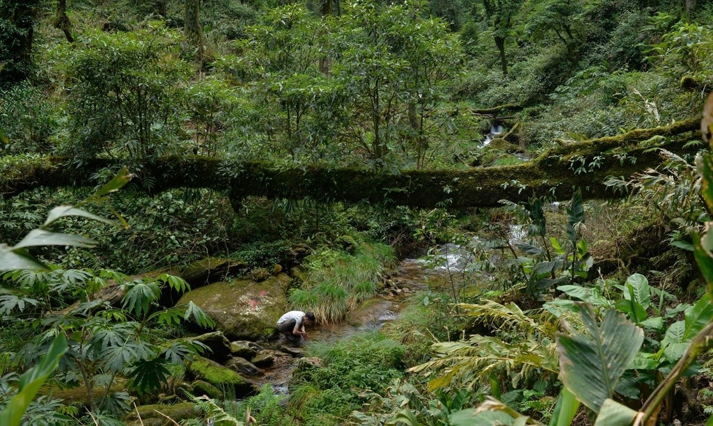Tour trekking leo núi Pờ Ma Lung 3 ngày 4 đêm | Trekking-Camping