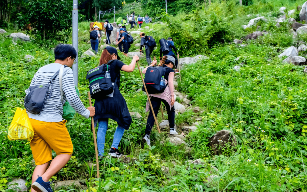 Tour Cắm Trại - Trekking/ Leo Núi Chứa Chan (Gia Lào) 2N1Đ | Trekking ...